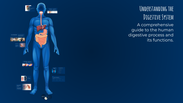 Understanding the Digestive System by Erika Nicholson on Prezi