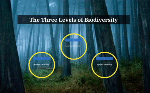 The Three Levels of Biodiversity by Nicole Abdon on Prezi