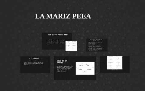 QUE ES UNA MATRIZ PEEA by ivonne alvarado on Prezi