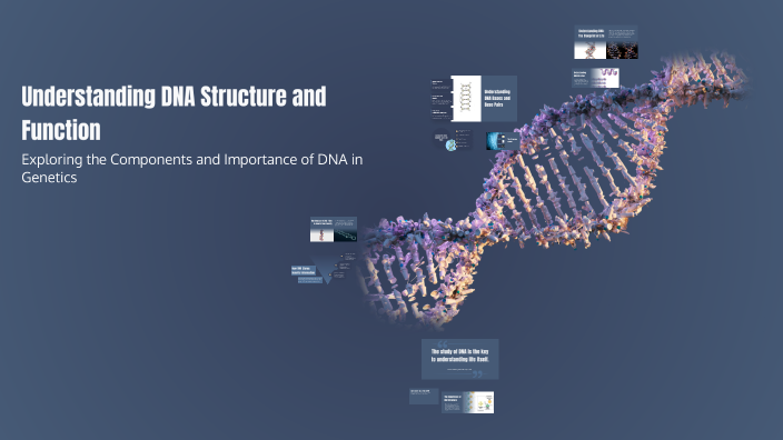 Understanding DNA Structure and Function by Shakeynah Mays on Prezi