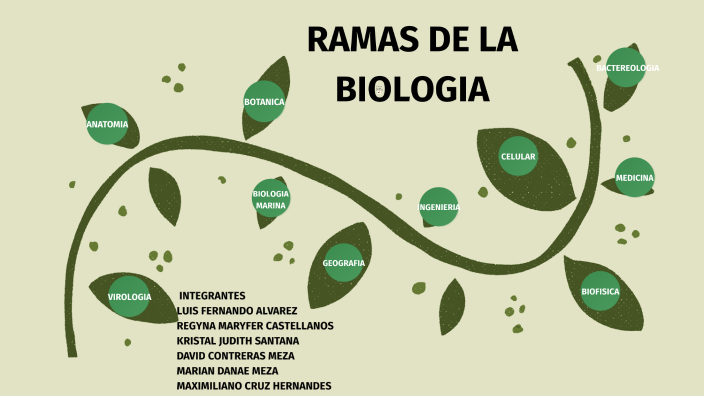 RAMAS DE LA BIOLOGIA by luigi xd on Prezi