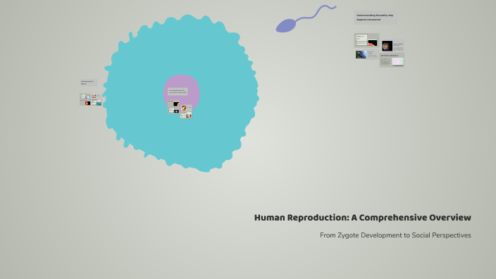 Human Reproduction: A Comprehensive Overview by Rachel Jenkins on Prezi