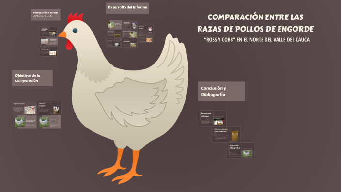 COMPARACIÓN ENTRE LAS RAZAS DE POLLOS DE ENGORDE by Andres mendoza ...