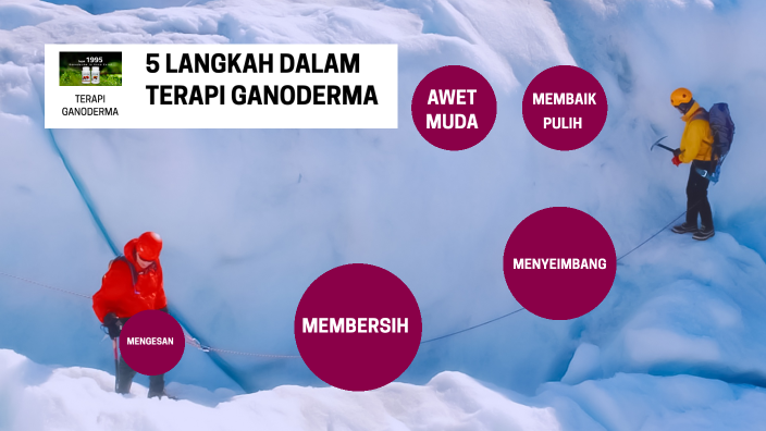 5 Langkah Dalam Terapi Ganoderma by Khairul Aza on Prezi