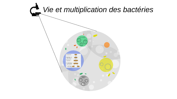 Vie et multiplication des bactéries by jeanne bergot on Prezi
