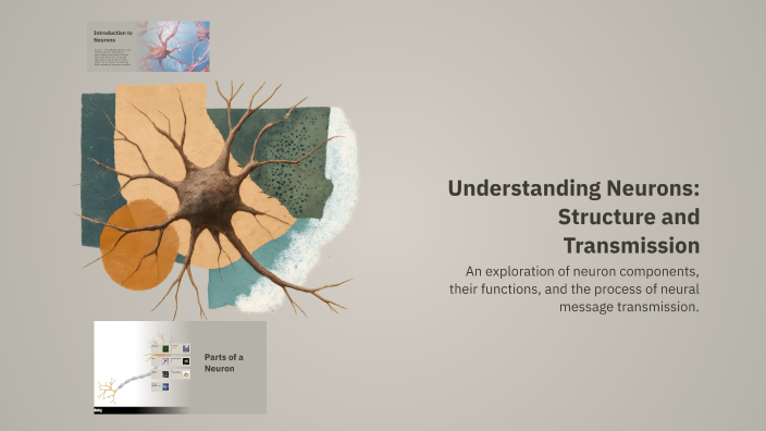Understanding Neurons: Structure and Transmission by Jonathan Mayfield ...