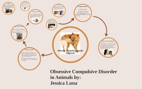 Obsessive Compulsive Disorder in Animals by Jessica Luna on Prezi