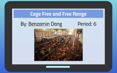 Cage Free Vs. Free Range Chickens by Benzamin Dang on Prezi