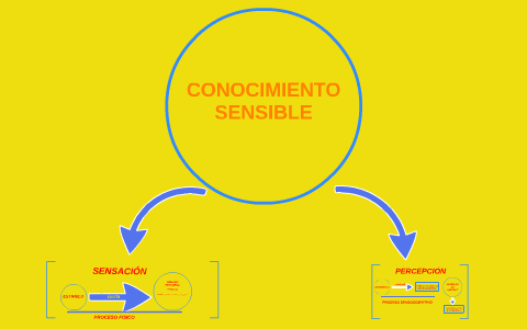 CONOCIMIENTO SENSIBLE by alvaro kaiser on Prezi