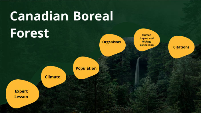 Boreal Forest by Humza Pasha on Prezi