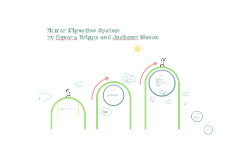 Human Digestive System by Rayana Briggs on Prezi