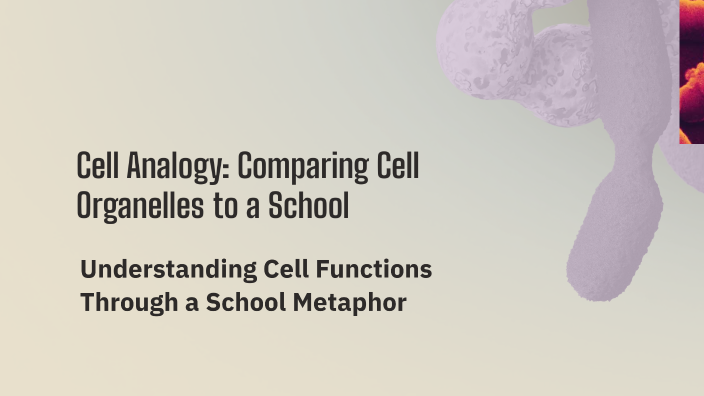 Cell Analogy: Comparing Cell Organelles to a School by Aliyah Horan on ...