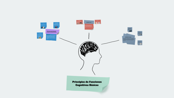Principios de Funciones Cognitivas Básicas by Jonathan 667 on Prezi