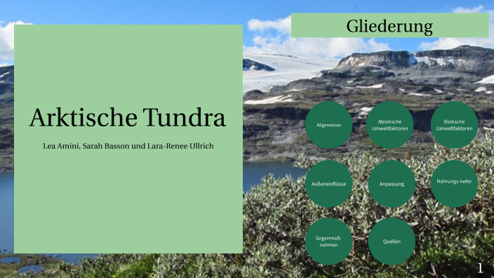 Tundra2 by Sarah Basson on Prezi
