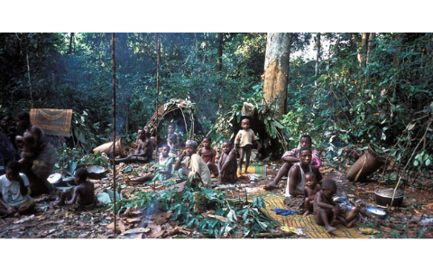 The Baka Pygmy Tribe by anna lise on Prezi