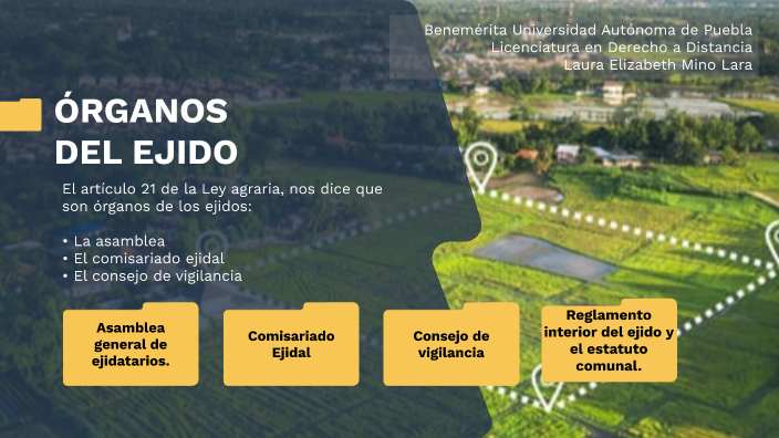ORGANOS DEL EJIDO by Laura PM on Prezi