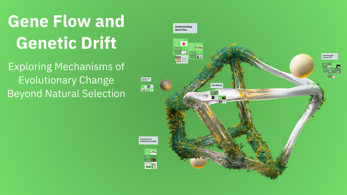 Gene Flow and Genetic Drift by Nichole Yager on Prezi
