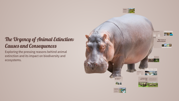 The Urgency of Animal Extinction: Causes and Consequences by Winry Cia ...