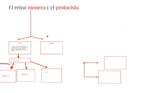 El reino monera y el protocista by on Prezi