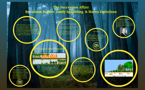 The Succession Affair by Alison Rocker on Prezi