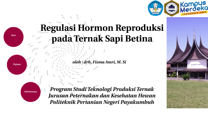Regulasi hormon reproduksi pada ternak sapi betina by fisma amri on Prezi