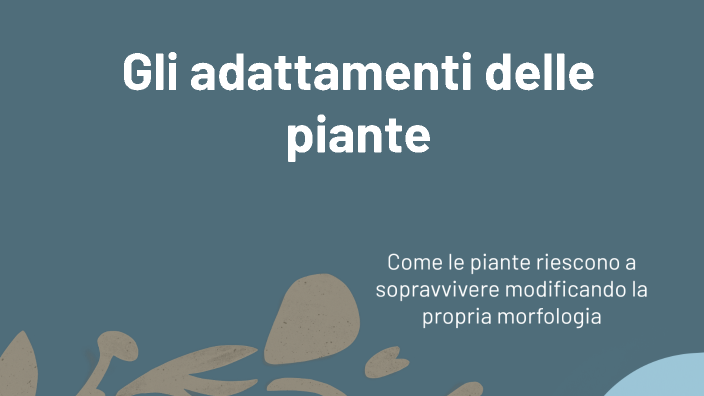 Gli adattamenti delle piante by Silvia on Prezi