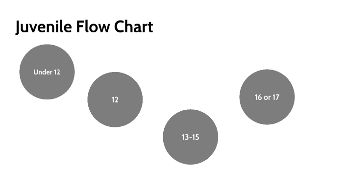 Juvenile Flow Chart by S G on Prezi
