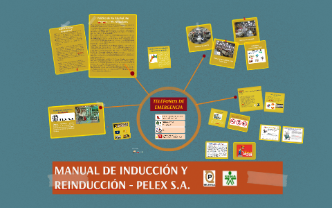 MANUAL DE INDUCCIÓN Y REINDUCCIÓN by MYREYA DIAZ on Prezi