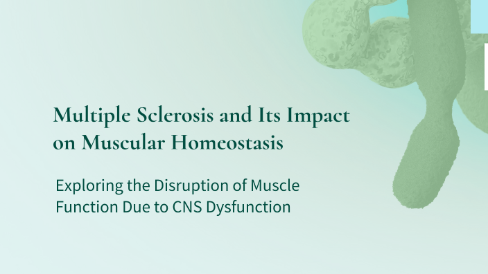 Multiple Sclerosis and Its Impact on Muscular Homeostasis by Alyssa ...