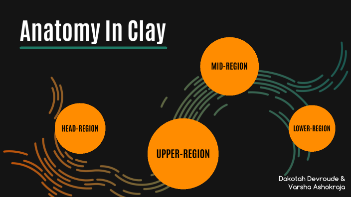 Anatomy In Clay by dakotah devroude on Prezi