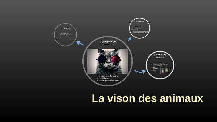 La vision des Animaux by Anthony Henry on Prezi
