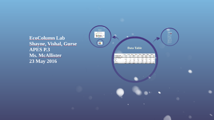 EcoColumn Lab by Shayne Spradling
