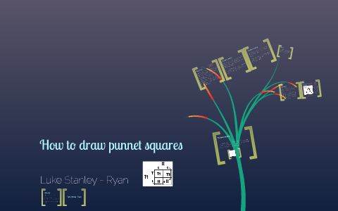 How to draw punnet squares by Luke Stanley-Ryan on Prezi