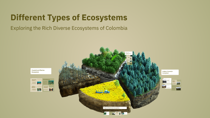 Different Types of Ecosystems by MIGUEL ANGEL CASTAÑEDA ECHEVERRI on Prezi