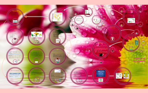 Evolution of Angiosperms by Julia Perhacs on Prezi