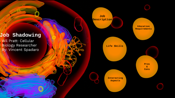 Job Shadowing by Vincent Spadaro on Prezi