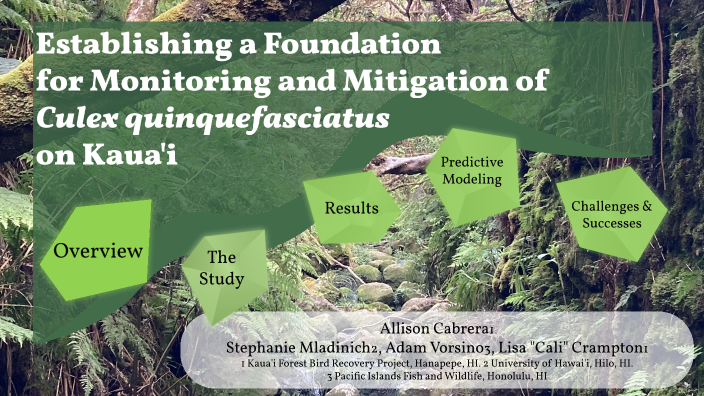 Establishing a foundation for monitoring and mitigation of C ...