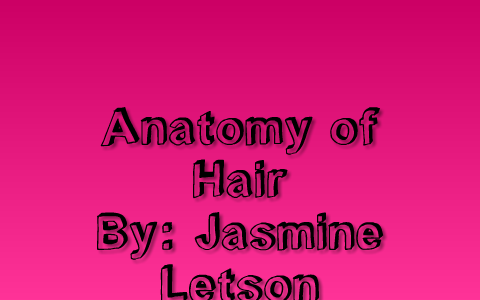 Hair Anatomy by Jasmine Letson