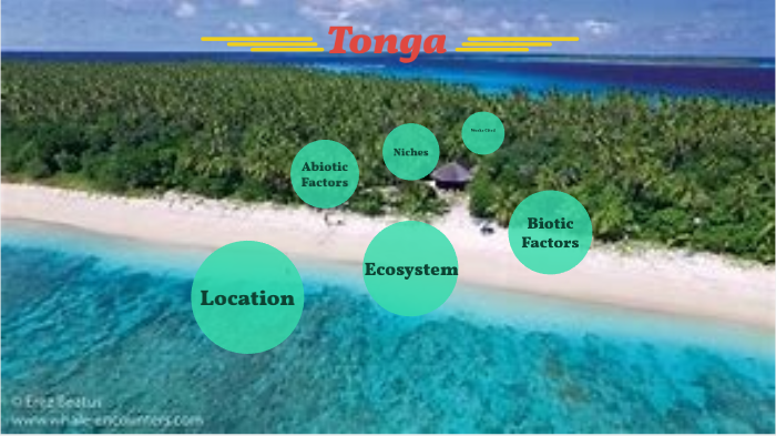 Tonga ecosystem by Myles Games on Prezi