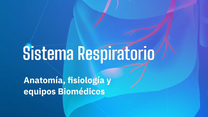 Sistema Respiratorio by Henry Rodrigo Gamez Avelar on Prezi