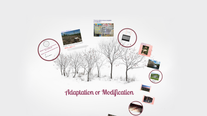 adaptation and modification by on Prezi