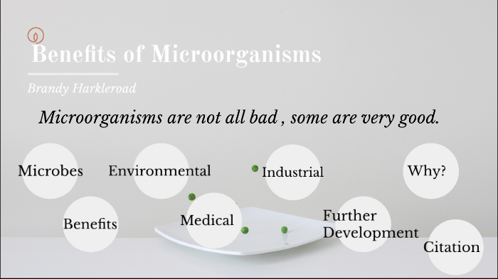 Benefits of Microorganisms by Brandy Harkleroad on Prezi