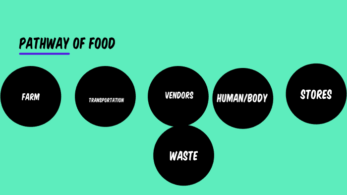 pathway of food by RANDY MABO on Prezi