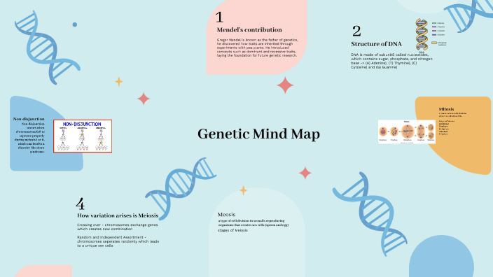 genetics mind map by ella mejarito on Prezi
