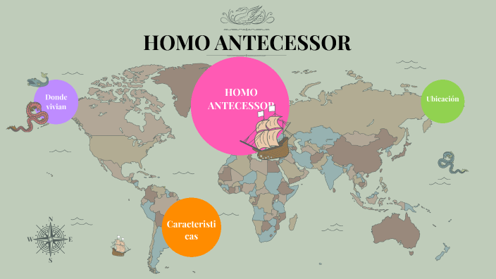 Homo antecessor by 5A MARIA JOSE DIEGO TUT on Prezi