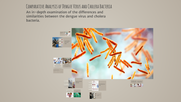 Comparative Analysis of Dengue Virus and Cholera Bacteria by Liam Fish ...