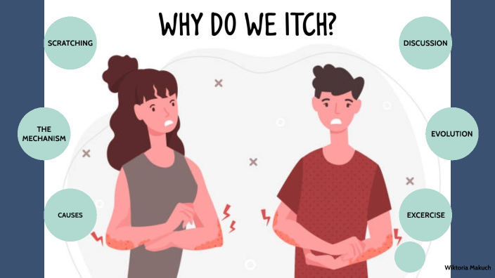 WHY DO WE ITCH? by - Makuch - on Prezi