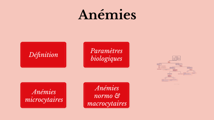 Anémie by Sabine L on Prezi