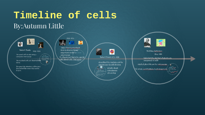Timeline of cell discovery by Autumn Little on Prezi