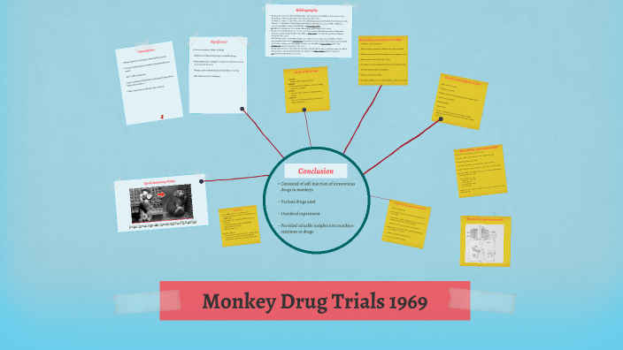 Monkey Drug Trials 1969 by Sandithi Pussellage on Prezi